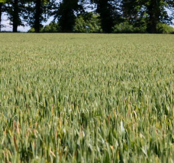 Agricentre Dumas - Premier négoce agricole du Limousin